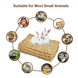 MUYG Rabbit Grass Mat,Grass Mats for Rabbits Bunny Natural Straw Woven Bed Small Animal Hay Matt Sleeping, Chewing, Nesting and Toys for Guinea Pig Hamster and Rat Bed Mat (6 Pcs)