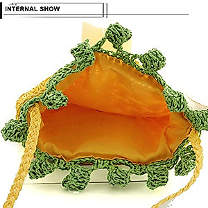 Goclothod Mini Handbag Cute Fruit Straw Cross-body Bag Weave Summer Beach Travel Satchel Shoulder Bag Phone Pouch Coin Purse (Pineapple)