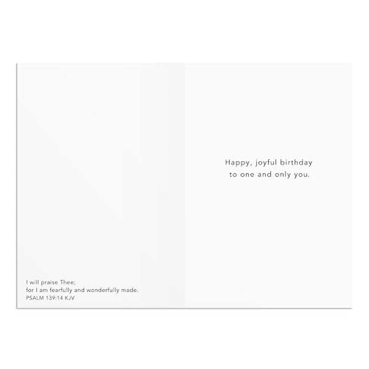 DaySpring - Celebrating You Birthday- King James Version- 4 Design Assortment with Scripture - 12 Geometric Botanical Boxed Cards & Envelopes (J5127)