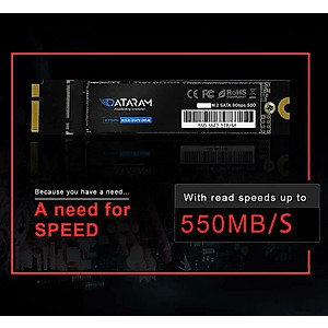 Dataram 1TB SSD Solid State for 11" & 13" MacBook Air Late 2010 Mid 2011 /A1370 A1369