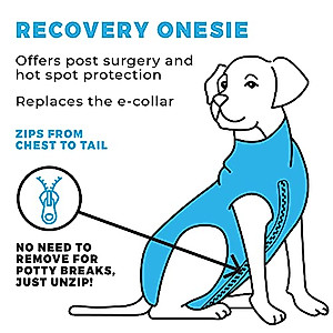 Shed Defender Recovery Suit for Dogs - Seen on Shark Tank, Post-Surgery Dog Onesie, Vet Approved, Anxiety Shirt, E-Collar Alternative, Calming Vest Jacket, Covers Hot Spots & Abdominal Wound, Bodysuit