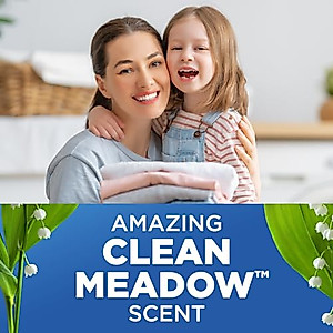 Arm & Hammer Plus OxiClean Clean Meadow, 77 Loads Liquid Laundry Detergent, 100.5 fl oz