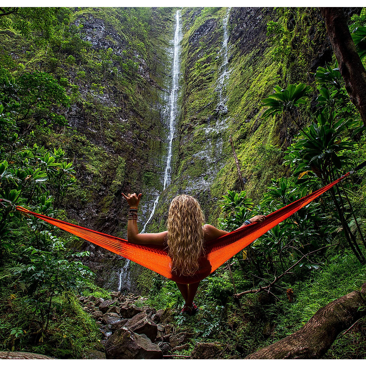 100% Kona Coffee – Whole Bean, Medium roast, Single estate gourmet coffee, 16 ounces, Farm fresh roasted from Domain Kona Coffee