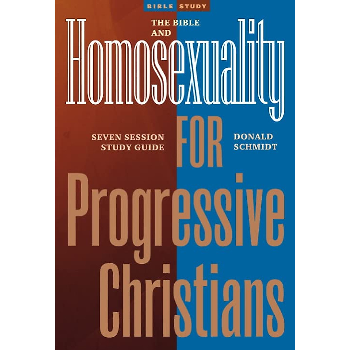 The Bible and Homosexuality for Progressive Christians: Seven Session Study Guide