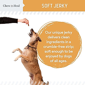 Chew + Heal Labs Omega Salmon Jerky Dog Treats - 12 oz of Soft Salmon Jerky for Skin and Coat - Made with Wild Alaskan Salmon, Flaxseed, Oat Flour, and More - Made in The USA