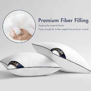 MIULEE 18x18 Pillow Inserts Set of 2 Throw Pillows 18 Inch Premium Down Alternative Pillow Inserts Decorative Pillow Stuffer for Sofa, Couch (18x18 inch, Set of 2)