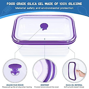 DERUI Collapsible Food Storage Containers, Premium Silicone, BPA Free,Microwave and Oven Safe Container with lids, For Travel, Camping or Baking 1200ml/40.6OZ(Purple,1Pack)