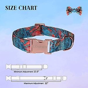 LOIIHEII Mothers' Day Dog Leash Match Dog Collar,Solid and Durable Dog Leash with Red Flowers,Leashes for Dog Training & Behavior aids for Small to Medium Dogs(S)