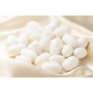 Champagne 100% Pure Silk Solid Color Charmeuse Fabrics by The Pre-Cut 1 Yard for Sewing Width 44 inch