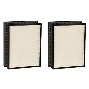 Nispira AP-B102 True HEPA Carbon Replacement Filter Compatible Alexapure Breeze Air Purifier 3049, 2 Packs