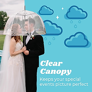 totes Clear Bubble Umbrella with Dome Canopy, Lightweight Design, Wind and Rain Protection, Birds on a Wire, Adults-51