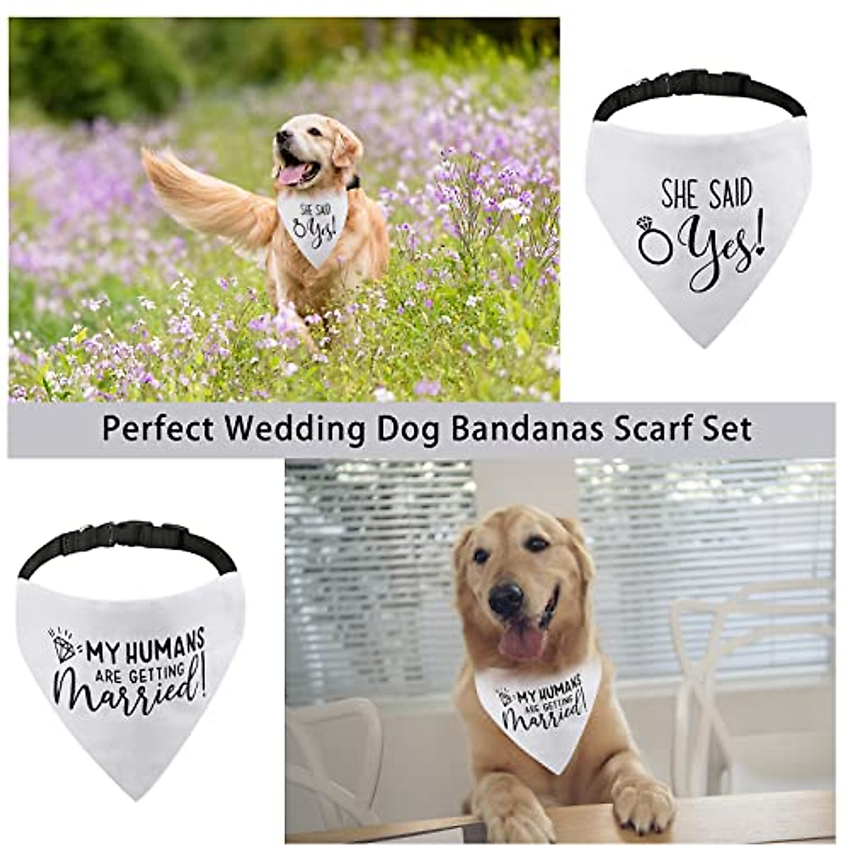 RISF Engagement Dog Bandana,My Humans are Getting Married She Said Yes Dog Bandana Collar,Strong D-Ring Engagement Dog Bandana,Adjustable Dog Collar with Quick Release Buckle for Dogs Cats (L, White)