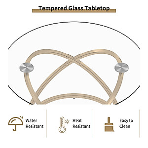 OIOG Gold End Table, Glass End Table for Living Room, Round Side Table with Storage, Modern Accent Table for Small Space, Nightstand for Bedroom