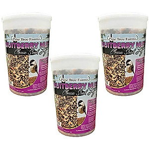 Pine Tree Farm Fruit Berry Nut Classic Seed Log, 28-Ounce (Pack of 3)