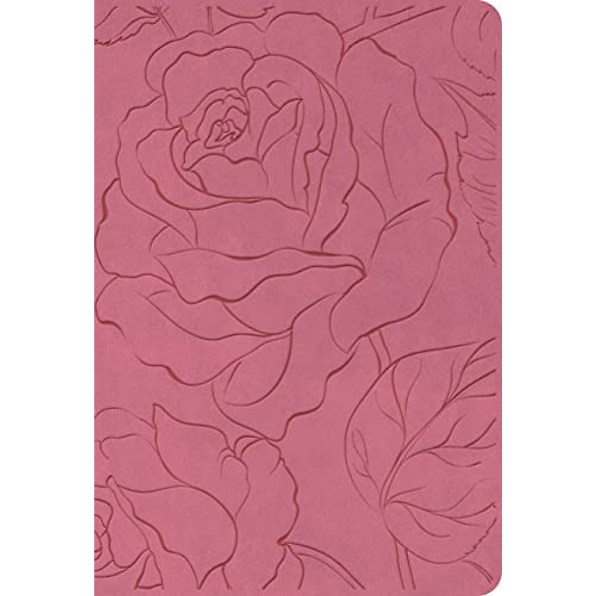 NLT Premium Value Compact Bible, Filament-Enabled Edition (LeatherLike, Pink Rose)