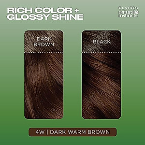 Clairol Natural Instincts Demi-Permanent Hair Dye, 4W Dark Warm Brown Hair Color, Pack of 1
