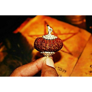 Astrodivine 21 Mukhi Rudraksha Original Certified Pendant Sterling Silver Real Nepal Bead Genuine Rudraksh Fruit 21 मुखी रुद्राक्ष पेंडल