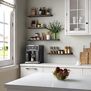 Boswillon Floating Shelves Wall Mounted Set of 2, Farmhouse Wall Shelves for Storage with Lip, Display Picture Ledge Shelf for Wall Decor Bedroom Living Room Bathroom Kitchen - Walnut