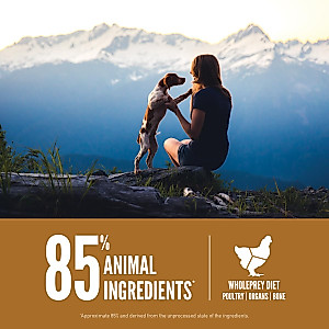 ORIJEN Puppy Dry Dog Food, Grain Free Dry Dog Food for Puppies, Fresh or Raw Ingredients, 13lb