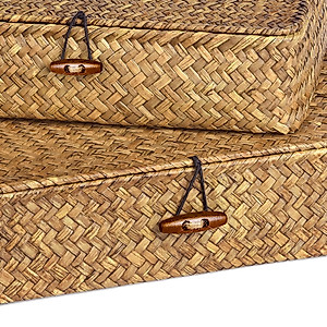 FOSSORH Set of 2 Flat Seagrass Storage Bins with Lid Wicker Storage Baskets for Organizing, Woven Shelf Organizer Bins Home Utility Organizer Box for Home & Office Supplies (Caramel)