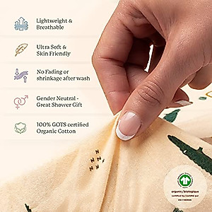 Premium Diaper Changing Pad Cover - Pack of 1 for Standard Baby Changing Table, 100% Organic Cotton, Universal Fit with Safety Slots - Changing Table Cover, Soft, Breathable & Stretchy