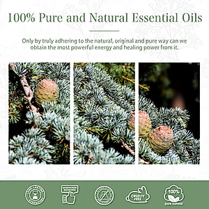 Cedarwood Essential Oil, 3.38Fl.Oz PHATOIL Pure Essential Oil Singles for Aromatherapy Diffusers, Humidifiers, Great for DIY Candle and Soap Making, Gift for Friend
