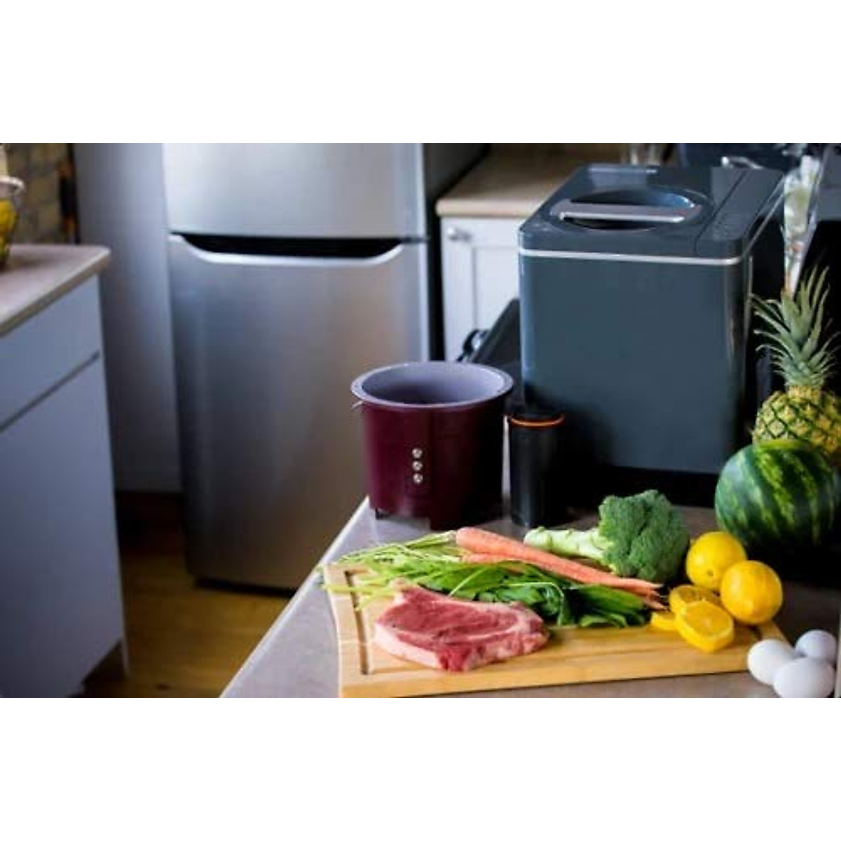 Food Cycler Platinum Indoor Food Recycler and Kitchen Compost Container