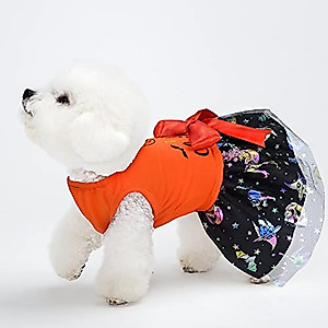 Malier Halloween Dog Costumes, I Smell Children Halloween Dog Tulle Dress Dog Clothes, Holiday Theme Costume Dress with Pumpkin Bat for Puppy Small Dogs and Cats (Small, Orange+Black)
