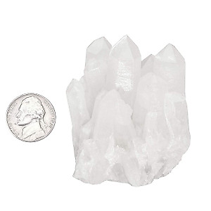 Top Plaza Bundle - 2 Items: Healing Rock Crystal Clear Quartz Cluster Mineral Geode Druzy Specimen & Tree of Life Wire Wrapped Clear Quartz Point Pendant