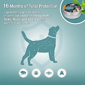 ZingZap Flea & Tick Collar 2-Pack Gray, Protects from Biting Insects, Adjustable Fits Both Dogs & Cats, Built-in Plant Based Formula, Slow Release Lasting Protection, Waterproof