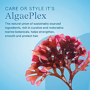 AQUAGE. Thickening Spray Gel, For Fine or Thin Hair Types - With Exclusive Ultraflex Polymer Technology and AlgaePlex Sea Botanicals, Adds Body and Vitality, Firm Hold, 8 oz