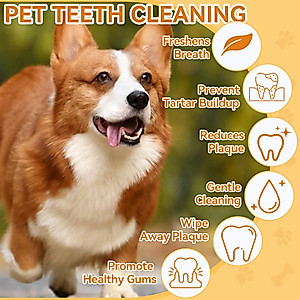 Erigathe Dog Teeth Cleaning Wipes for Dogs & Cats 60 Counts, Dog Dental Finger Wipes Remove Bad Breath, Dog Tooth Brushing Kit Wipes Reducing Tartar Buildup & Gum Care Pet Dog Teeth Wipes