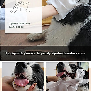 Pet Wipes for Cats, No Rinse Wipes Gloves for Dog Cleaning, Grooming Wipes Dog Cleaning Gloves, Wash Free Deodorizing Wipes, Cat Cleaning Wipes for, Ear, Eye & Paws (6pcs*2)