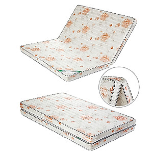 Enchantia Coir Mattress, Folding Mute Palm Mattress, 3e Thick Coconut Coir Mattress, Partition Decompression Spine Friendly, Cool Sleep, for People Who Like Hard Mattresses,Red,100x190cm(39.5 * 75in)