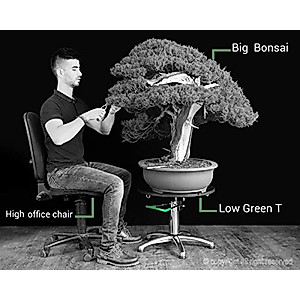 Pollice Verde Green T Basic - Professional Bonsai Turntable - Round