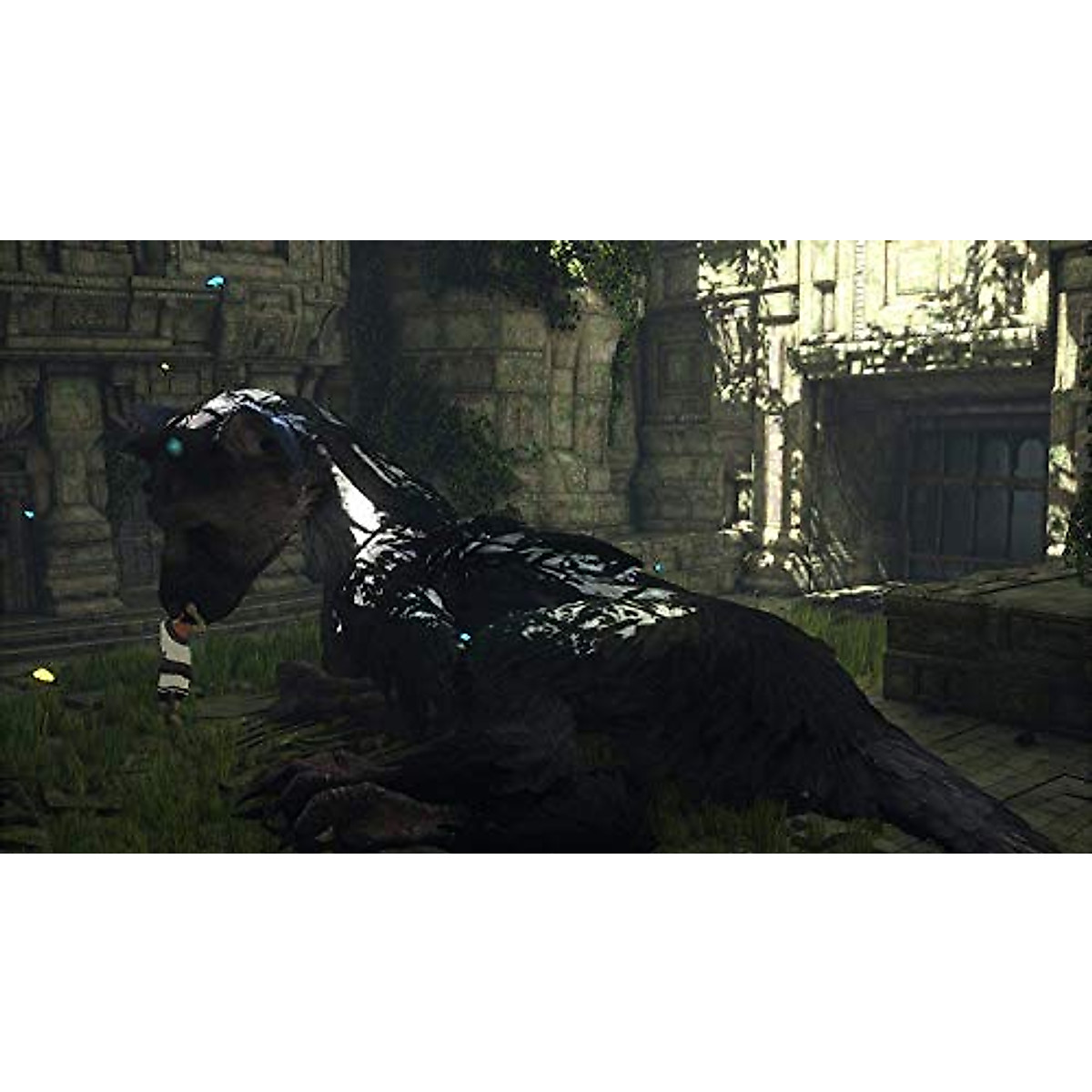 The Last Guardian - Playstation 4