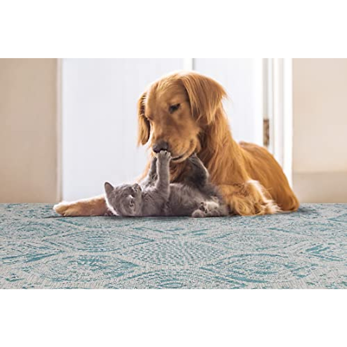 FH Home Flat Woven Outdoor Rug - Waterproof, Easy to Clean, Stain resistant - Premium Polypropylene Yarn - Distressed Farmhouse - Porch, Deck,Balcony,Laundry Room - Granada - Aqua - 2ft 7in x 4ft 11in