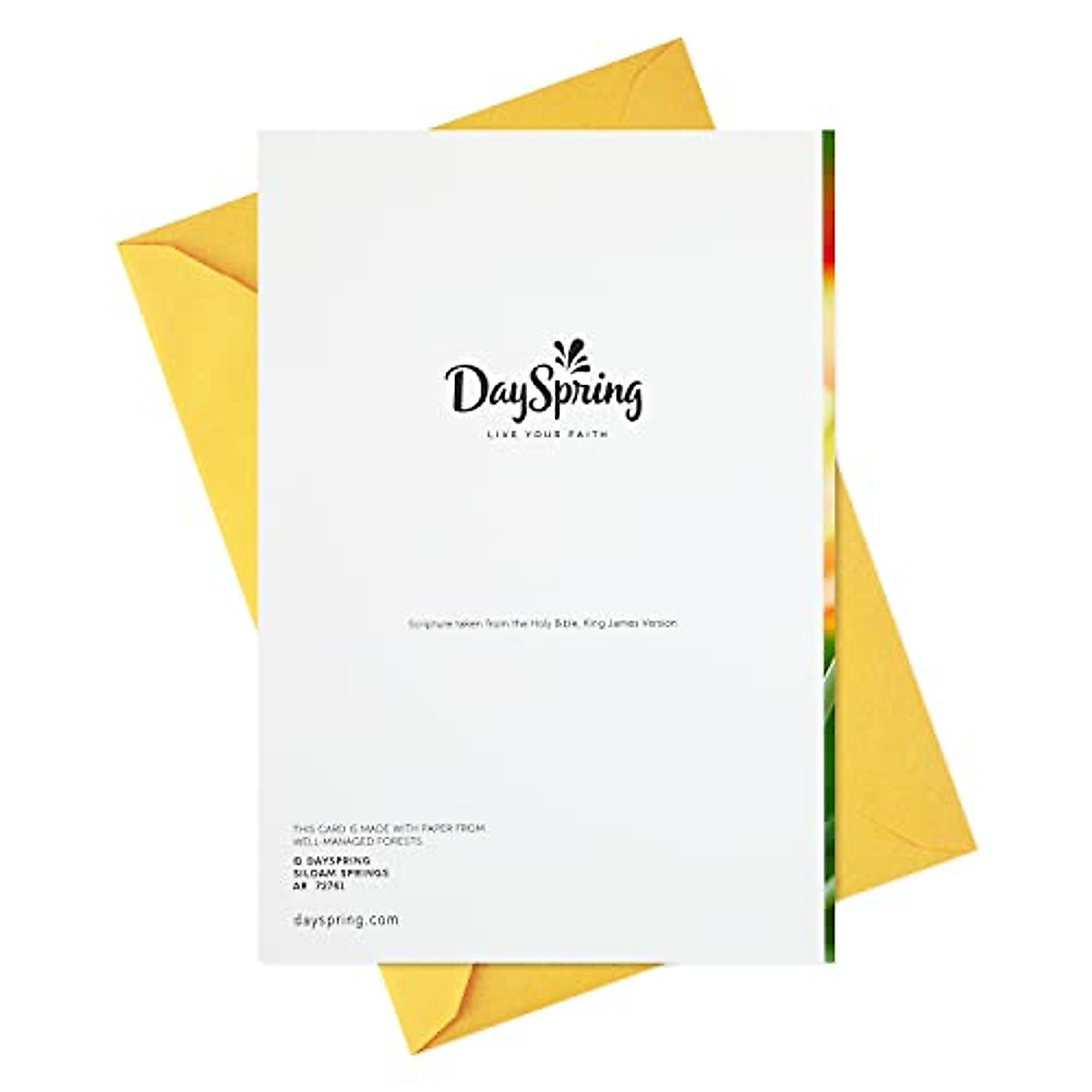 DaySpring Pack of Religious Easter Cards, He is Risen (10 Cards with Envelopes)