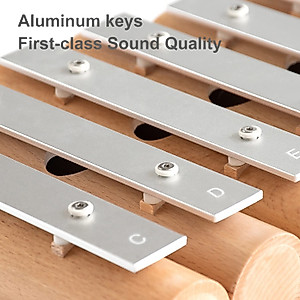 MUSICUBE Resonator Bells for Kids xylophone Glockenspiel 8 Notes Metal Hand Chime Orff Instrument for Kindergarten School and Family Musical Instrument Gift for Boys Girls (C5-C6)