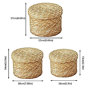 CurcKua 3pcs Straw Storage Baskets with Lid Woven Organizer Round Finishing Storage Box for Bedroom Living Room Laundry Snack