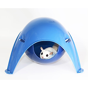 Jungle Canopy Toy Bundle - Colorful Interactive Climbing Forage Cage Accessory Toy Set - for Sugar Gliders, Rats, Ferrets, Hamsters, Squirrels, Parrots, Birds, Marmosets, Degus, Monkeys & Small Pets