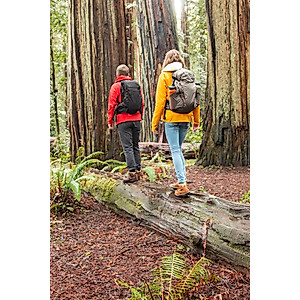 CamelBak Rim Runner 22 Hiking Hydration Pack – 85 oz , Brindle/Graphite