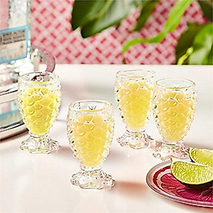 Twos Company Pineapple Party Set of 4 Shot Glasses in Gift Box - Glass