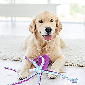 EXPAWLORER Long Dog Toy - 17" Best Squeaky Dog Plush Toys Puppy Birthday Gift Soft Stuffed Chew Toy Crinkle Paper and Built-in Squeaker Durable Interactive for Small Medium Large Dogs Chewing, Purple