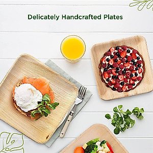 TRULY ECO 8 Inch 40 Square Palm Leaf Plates – Compostable, Biodegradable, Eco-Friendly – Like Bamboo Disposable Plates for Party, Wedding, Picnic – Sturdy, Heat Proof & Leak Proof