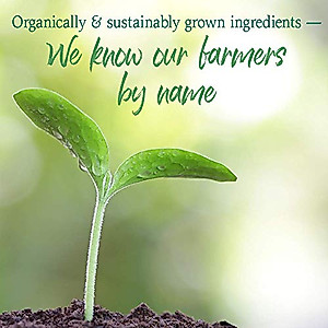 Garden of Life Raw Organic Perfect Food Energizer Juiced Green Superfood Powder - Yerba Mate Pomegranate, & Probiotics, Gluten Free Whole Food Greens Supplements, 30 Servings, 9.73 Oz