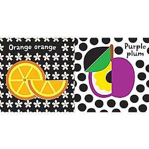 Indestructibles: Taste the Fruit! (High Color High Contrast): Chew Proof · Rip Proof · Nontoxic · 100% Washable (Book for Babies, Newborn Books, Safe to Chew)