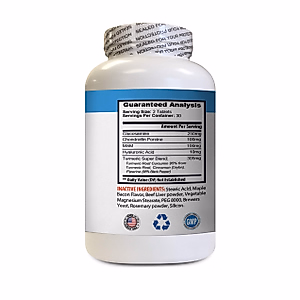 Dog Joint Health Supplements - Dogs Joint Health Complex with Turmeric and MSM - Supports Hips and Joints - Dog Turmeric glucosamine - 1 Bottle (60 Tablets)