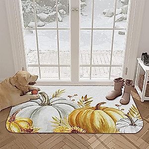 Chees D Zone Indoor Door Mat,Fall Thanksgiving Pumpkin White Soft Non-Slip Absorbent Kitchen Rug,Gold Leaves Sunflower Plant Floor Mat Entrance Rugs for Bedroom Living Room 16x24In