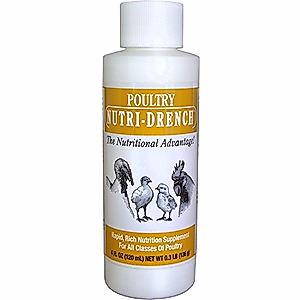 Bovidr Laboratories P-4 OZ Poultry Nutri-Drench